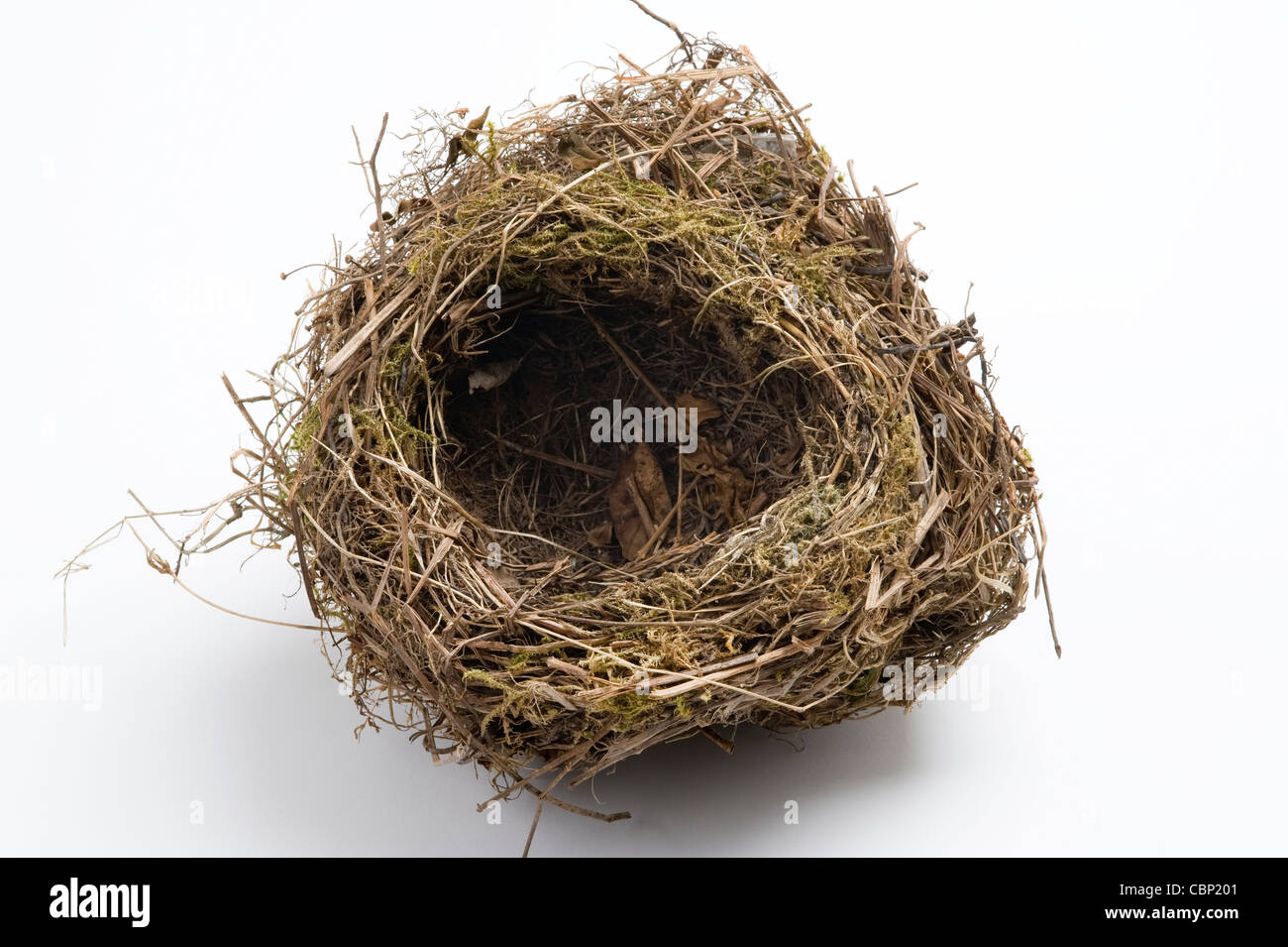 Empty birds nest hi-res stock photography and images - Alamy