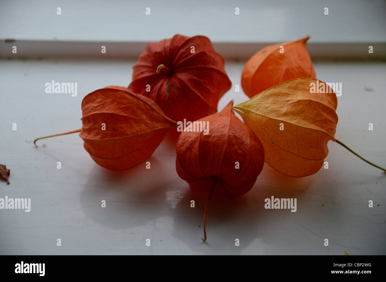 Four Lights High Resolution Stock Photography and Images - Alamy