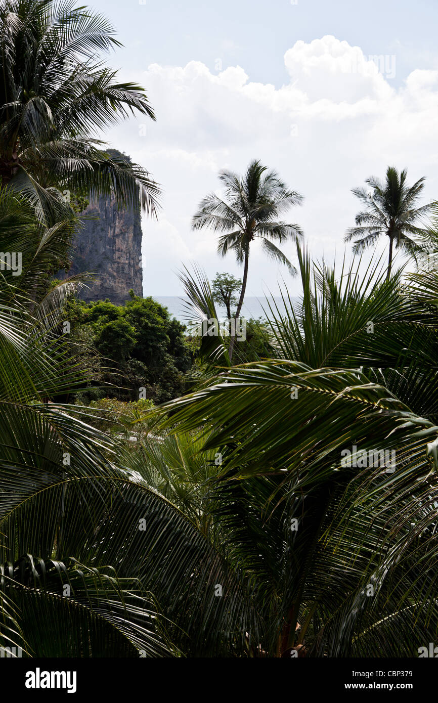 Great view of jungle Stock Photo - Alamy