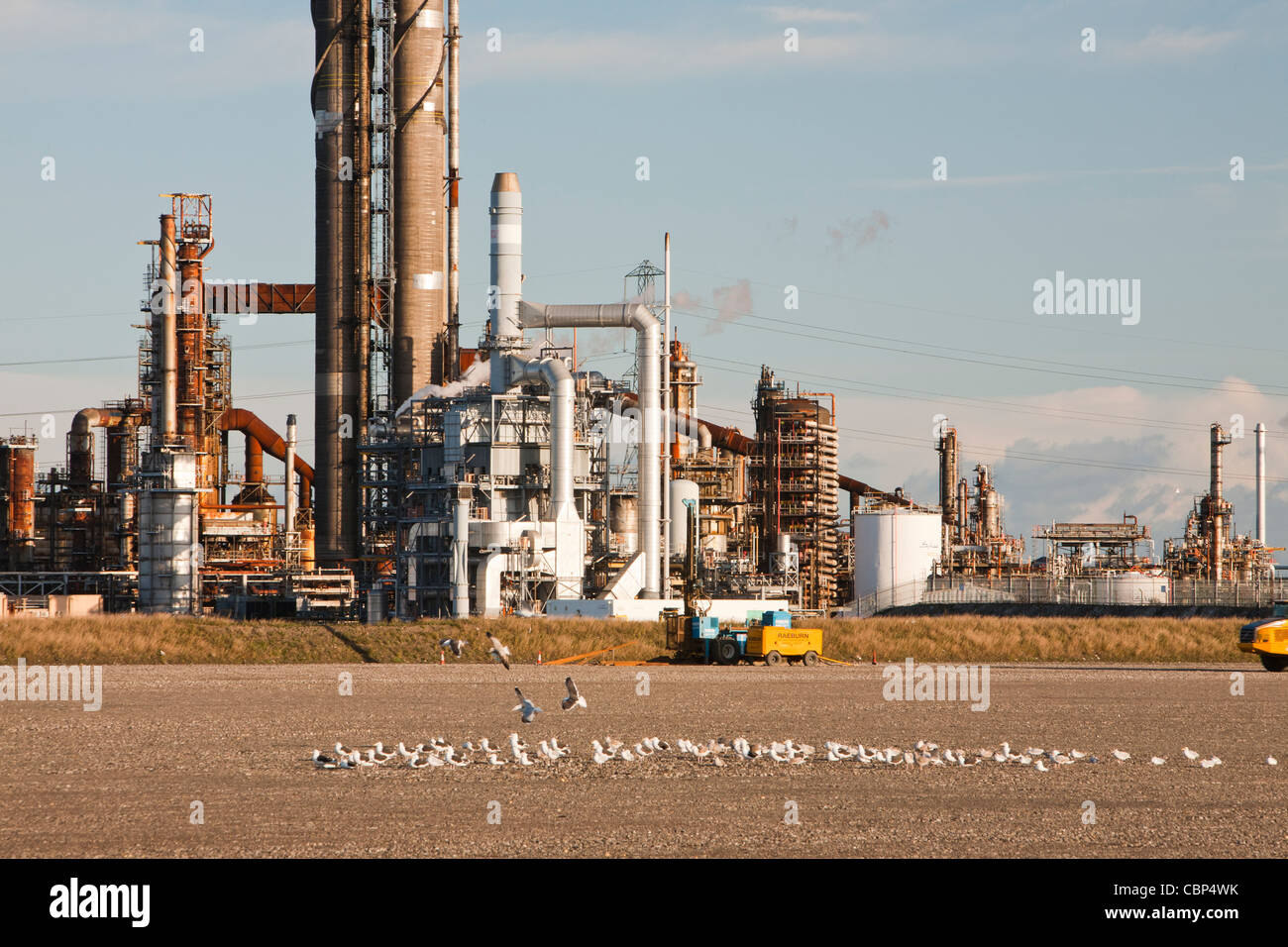 Gulls in front of a petrochemical plant at Seal Sands on Teeside, North ...