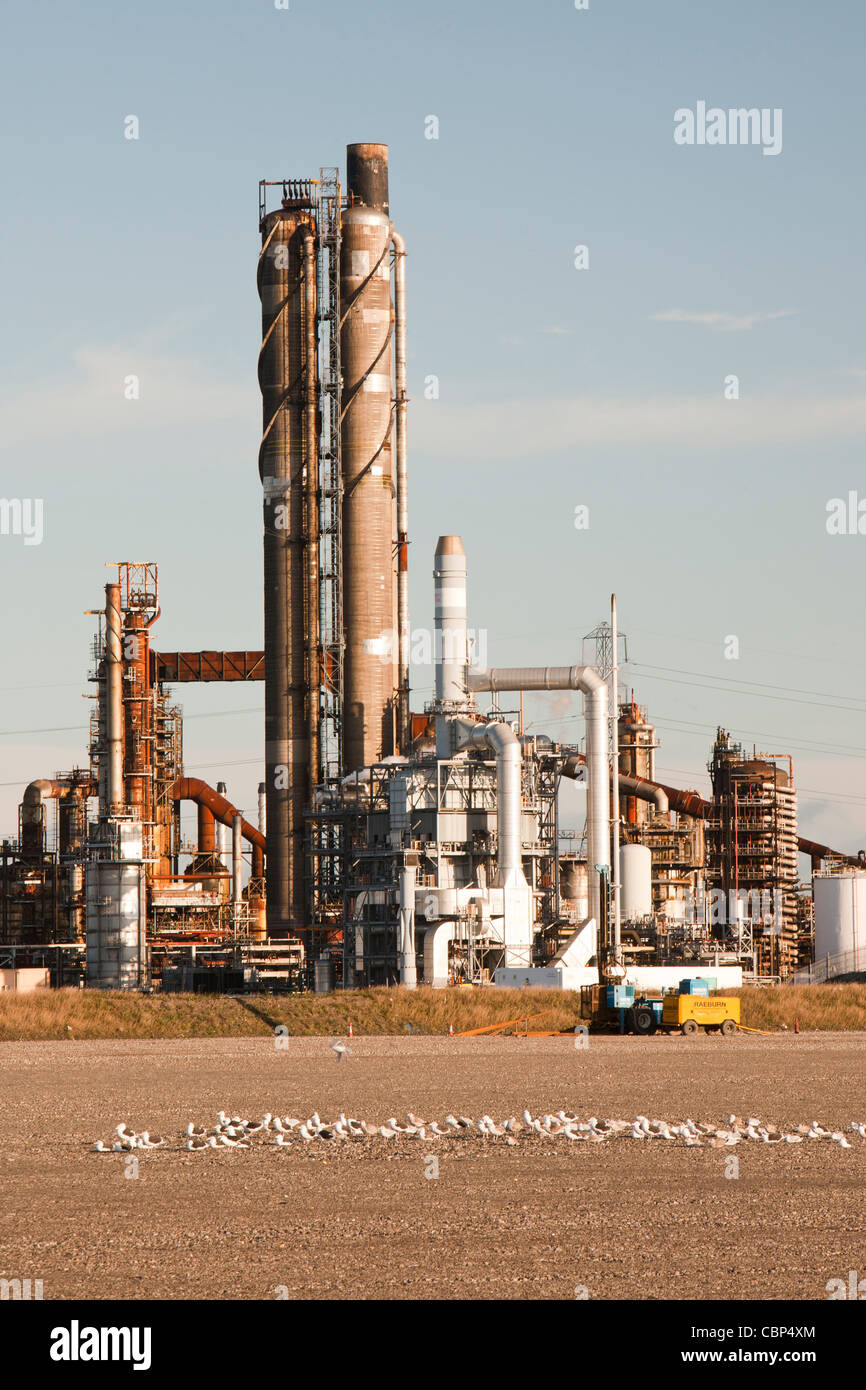Petrochemical plant seal sands on hi-res stock photography and images ...