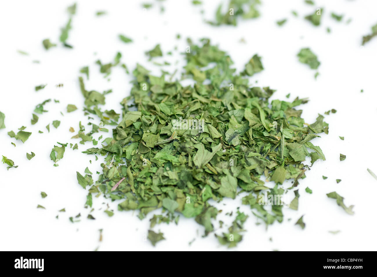 Dry isolated coriander Stock Photo - Alamy