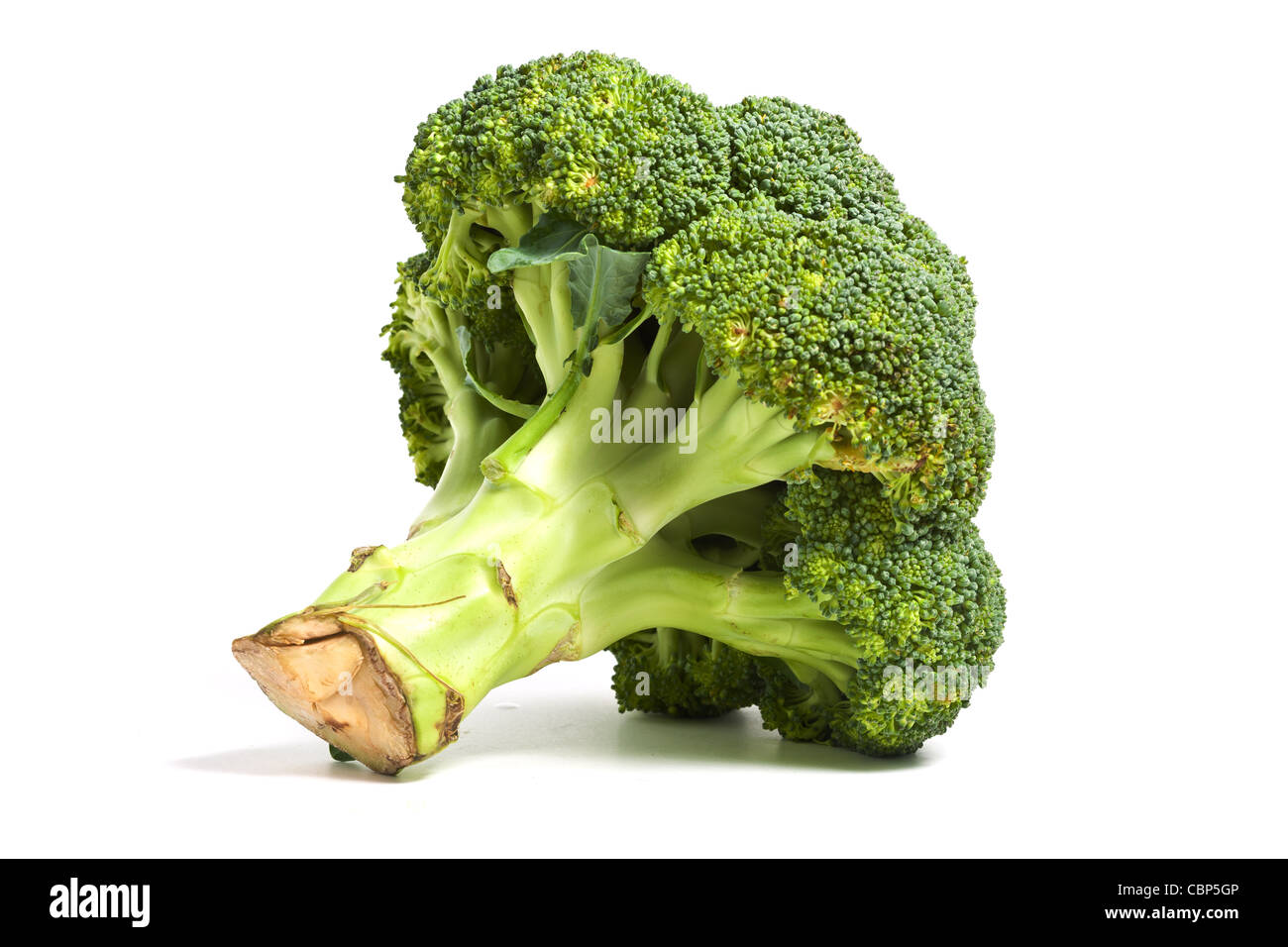 Single broccoli cabbage on white background Stock Photo - Alamy