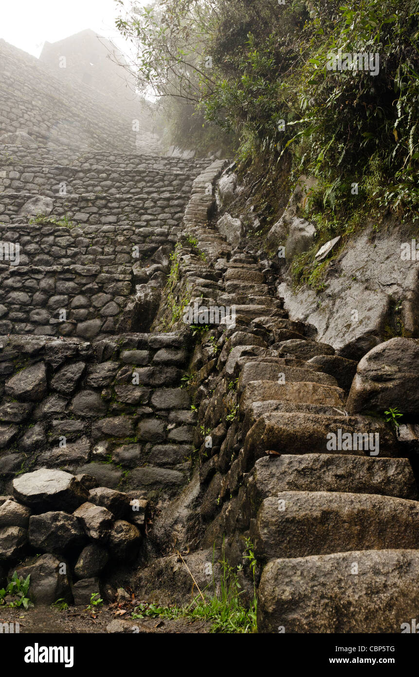 Wayna Picchu Machu Picchu Cusco region Peru Stock Photo - Alamy