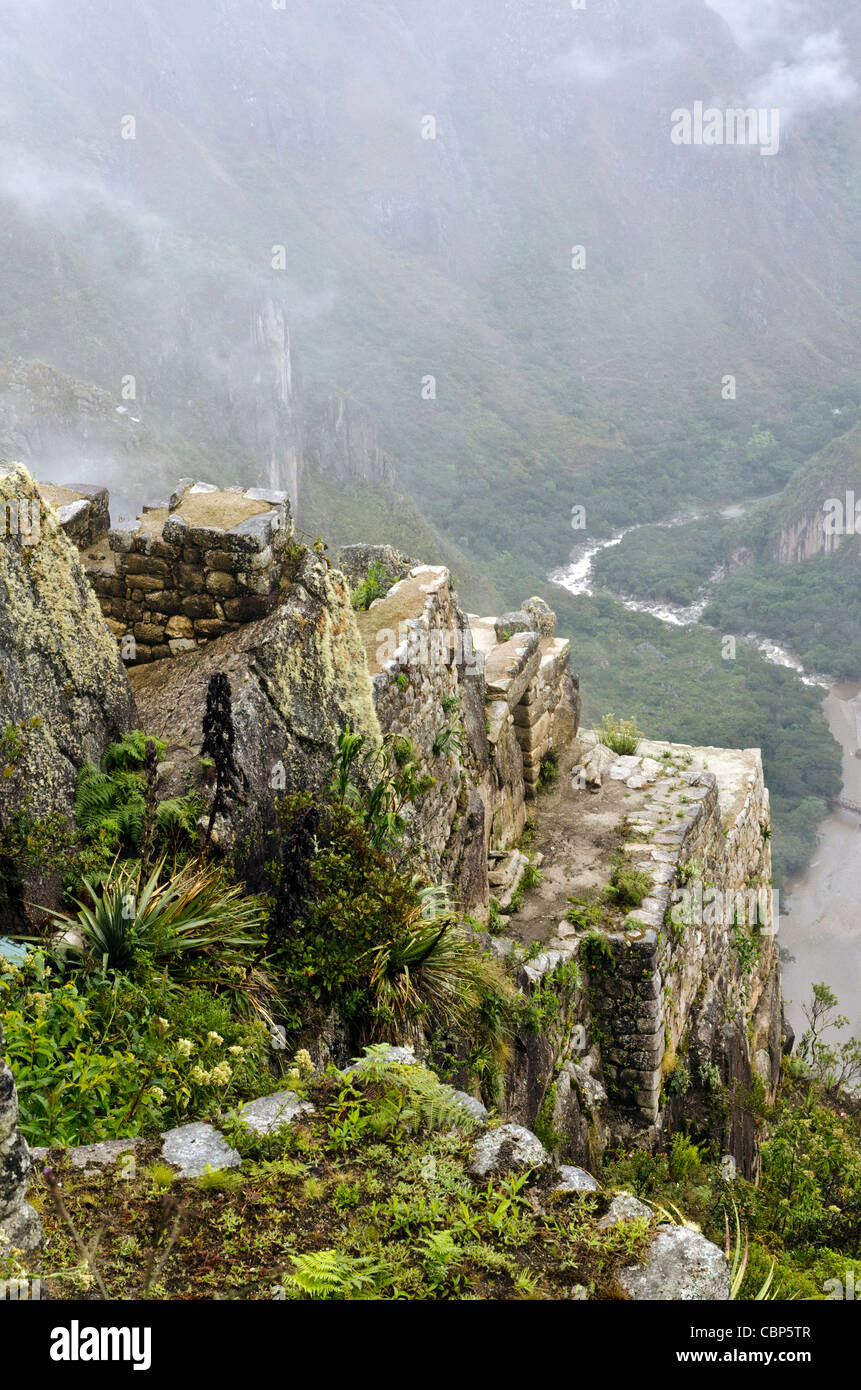Wayna Picchu Machu Picchu Cusco region Peru Stock Photo - Alamy
