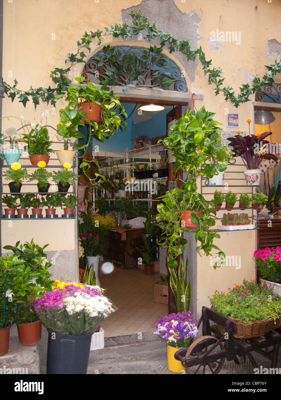Entrance to a flower shop at fishing village Porto Venere, province La ...