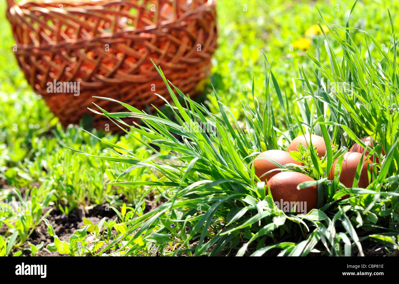 Easter eggs and basket in the grass Stock Photo - Alamy