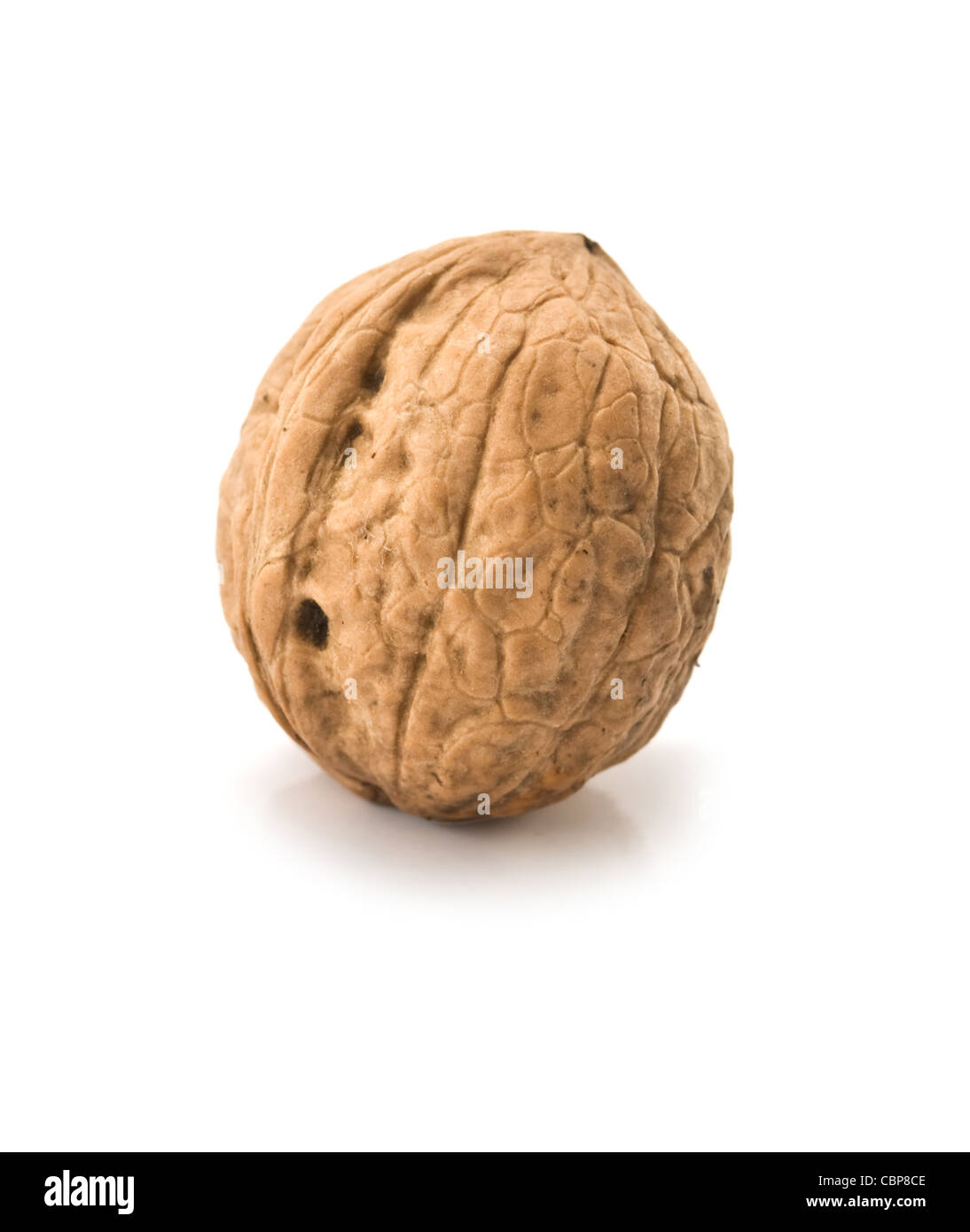 walnut isolated on a white background Stock Photo - Alamy