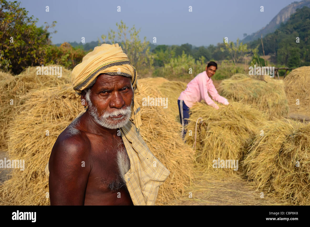 Farmers of India, who work in farms generation to generation Stock ...