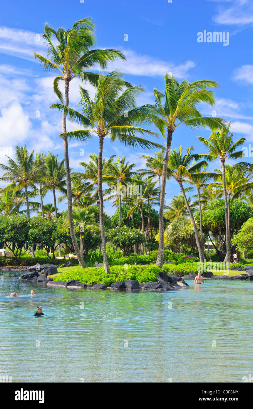 Tropical pool at a resort on the south coast of Kauai Stock Photo - Alamy