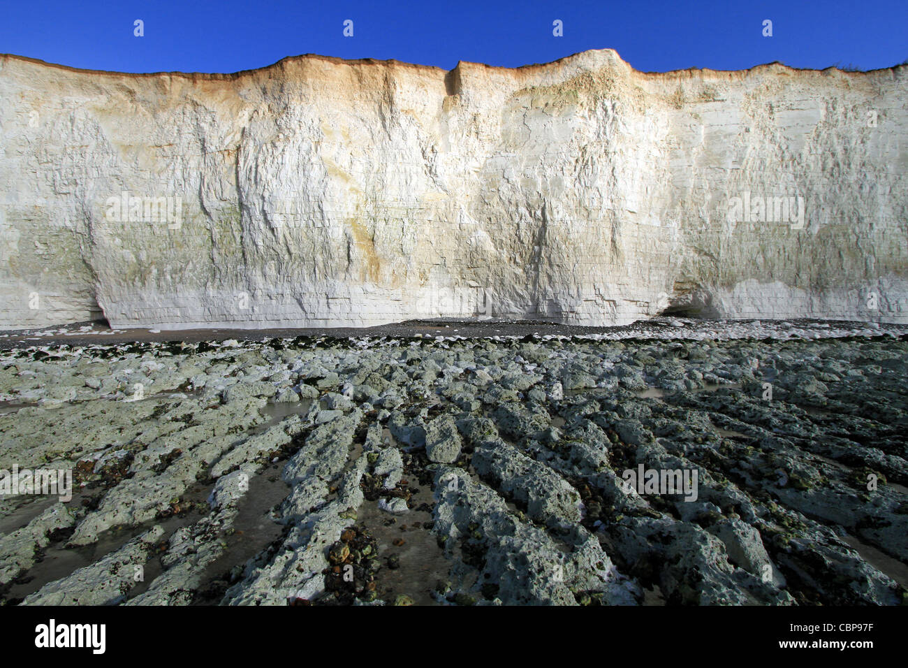 Chalk Cliffs at Birling Gap, Sussex Stock Photo - Alamy