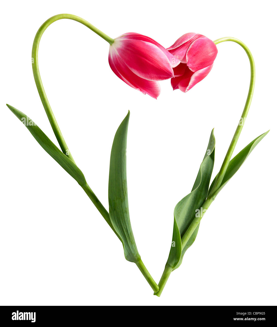 Two flower heart shape Cut Out Stock Images & Pictures - Alamy