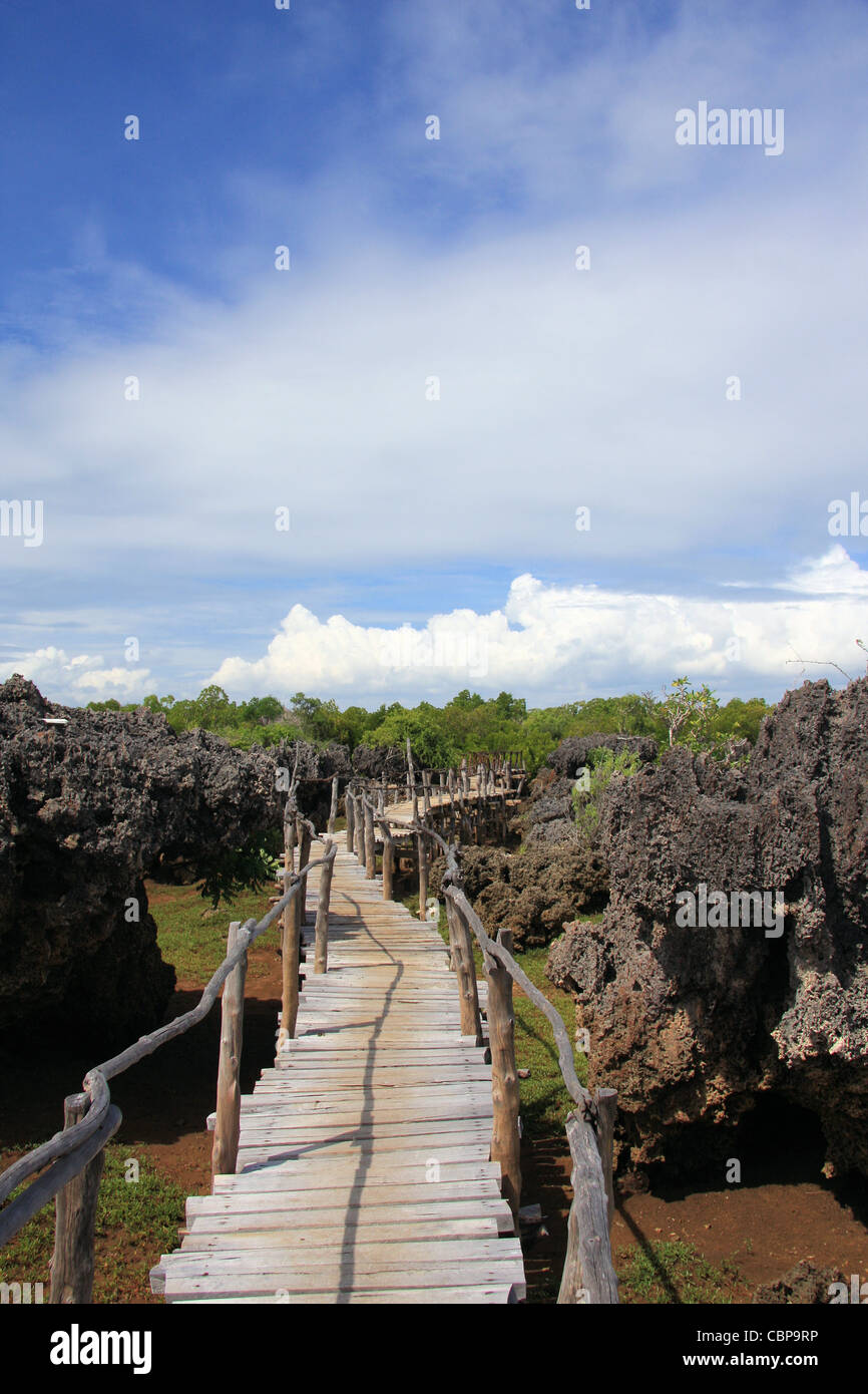 Boardwalk at the Coral garden, Wasini island, Kenya Stock Photo - Alamy