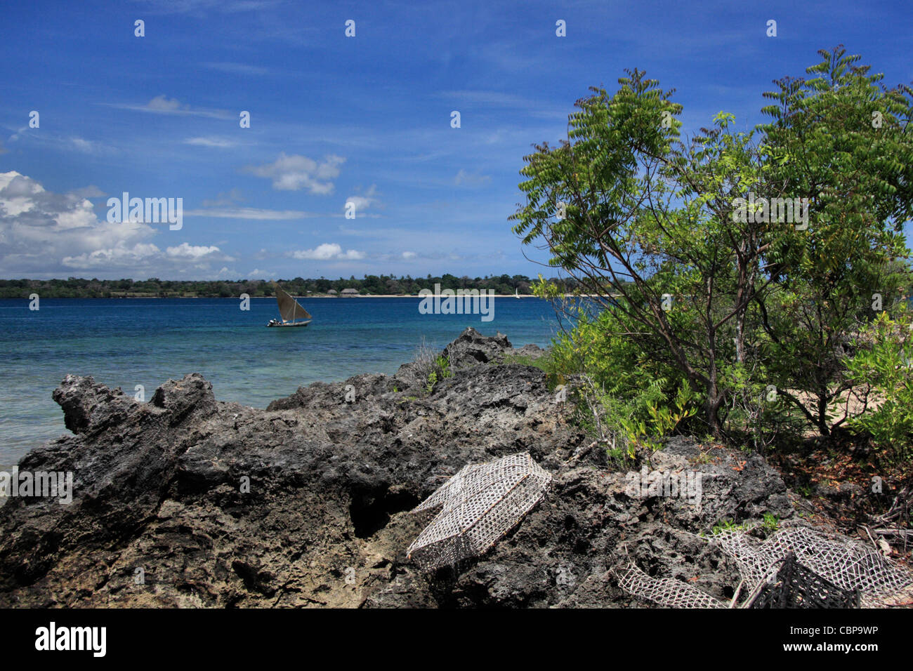 Dhow sailing at Wasini island, Kenya Stock Photo - Alamy