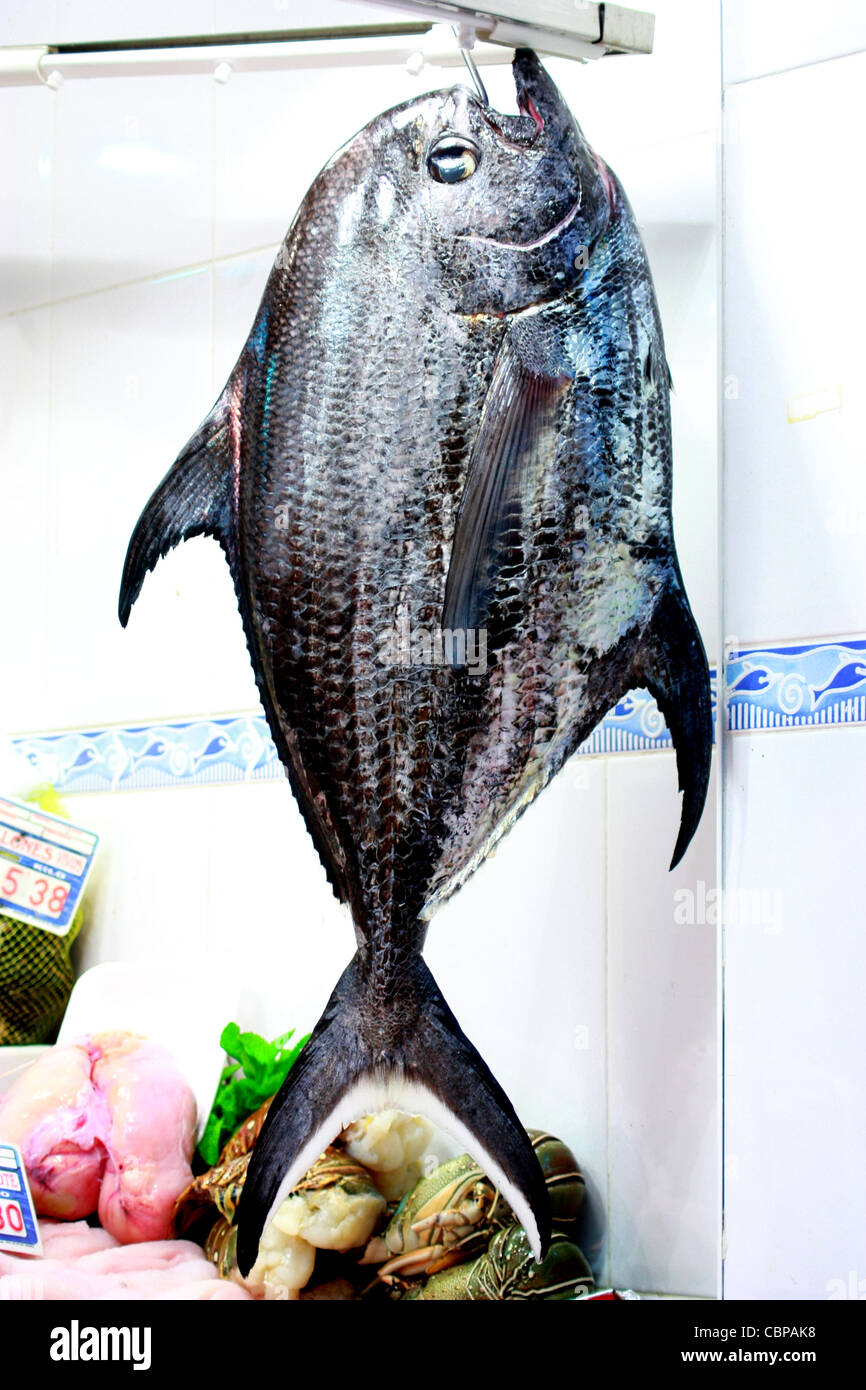 Hanging from scales hi-res stock photography and images - Alamy