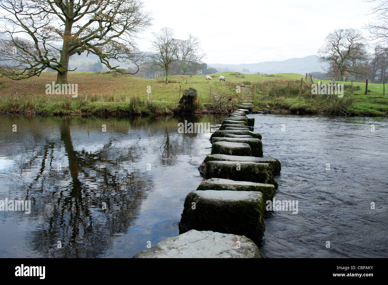 Stepping Stones over River Rothay, Lake District, Cumbria Stock Photo ...