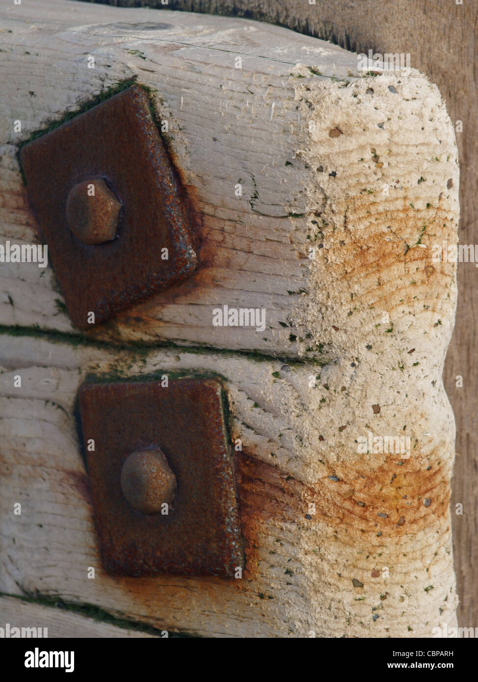 Wood of a breakwater and two bolts holding it together onto a ...