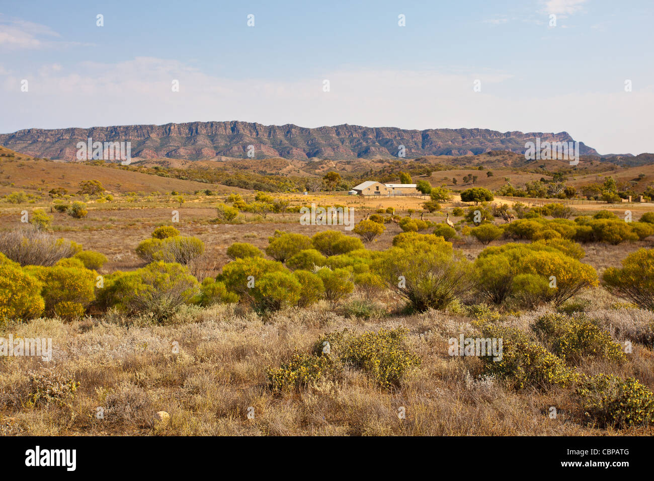 Remote australian sheep station hi-res stock photography and images - Alamy