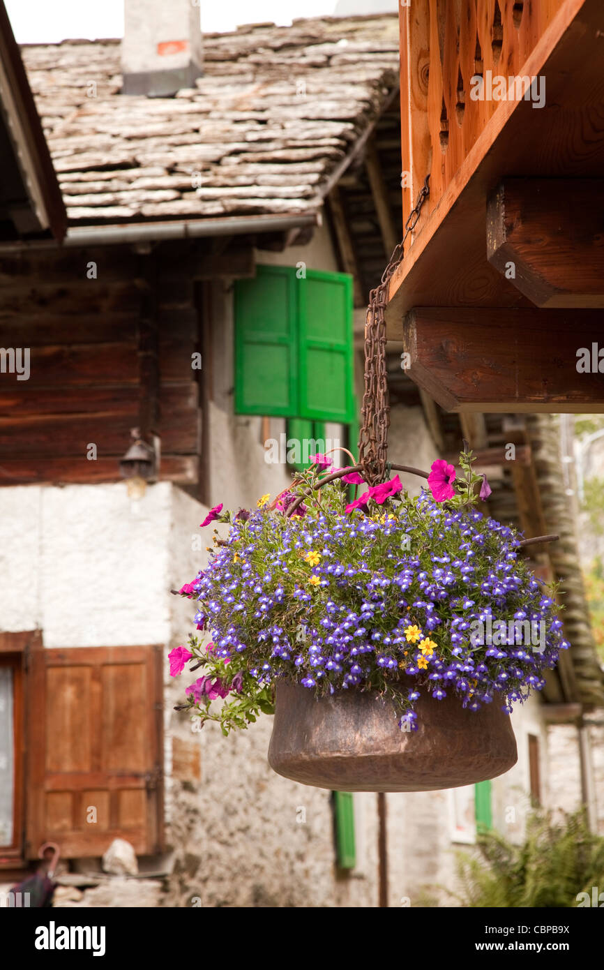 Alpine plant pot hi-res stock photography and images - Alamy