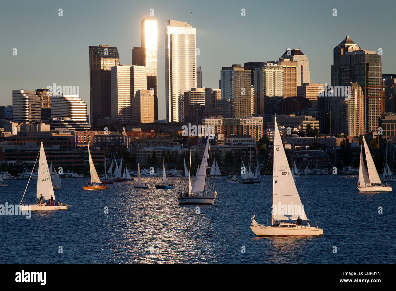 Duck Dodge on Lake Union, skyline, Seattle, Washington, USA Stock Photo ...