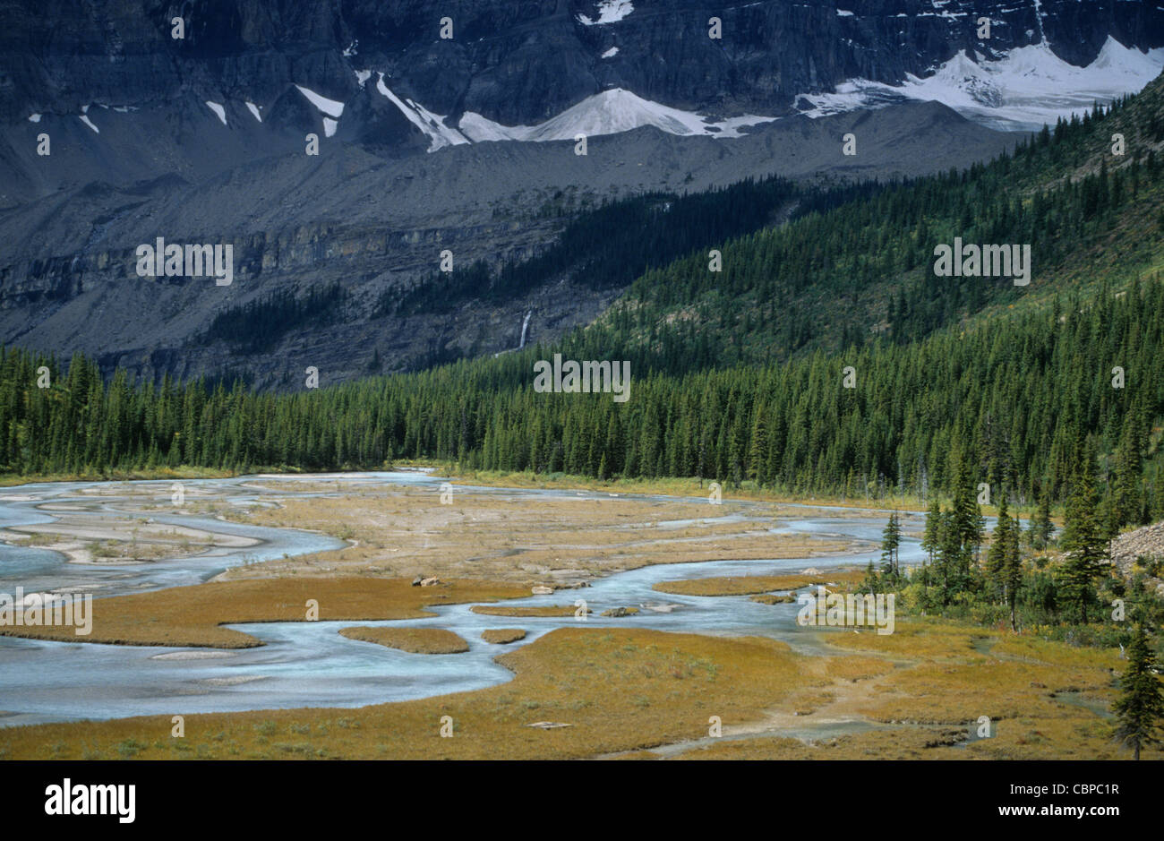 Upper Valley of Robson River. Mount Robson Provincial Park. Canada ...