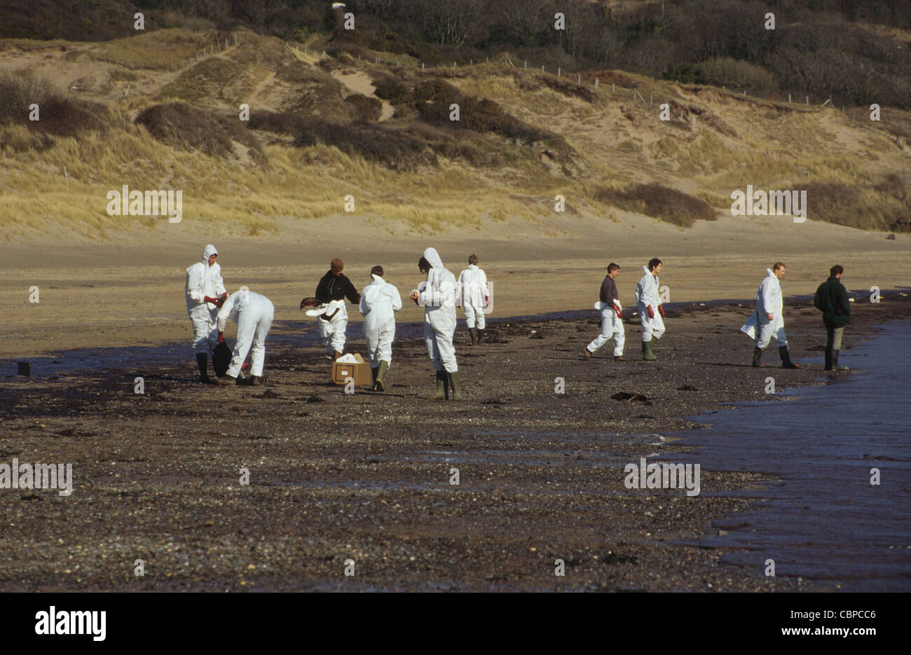 Workers cleaning crude oil off beach after the Sea Empress oil tanker ...