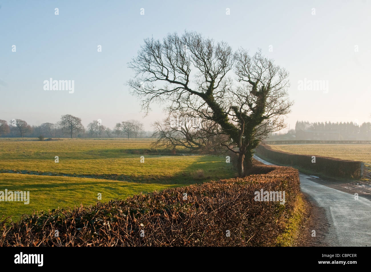 A bright winter sun casts long shadows over the misty countryside near ...