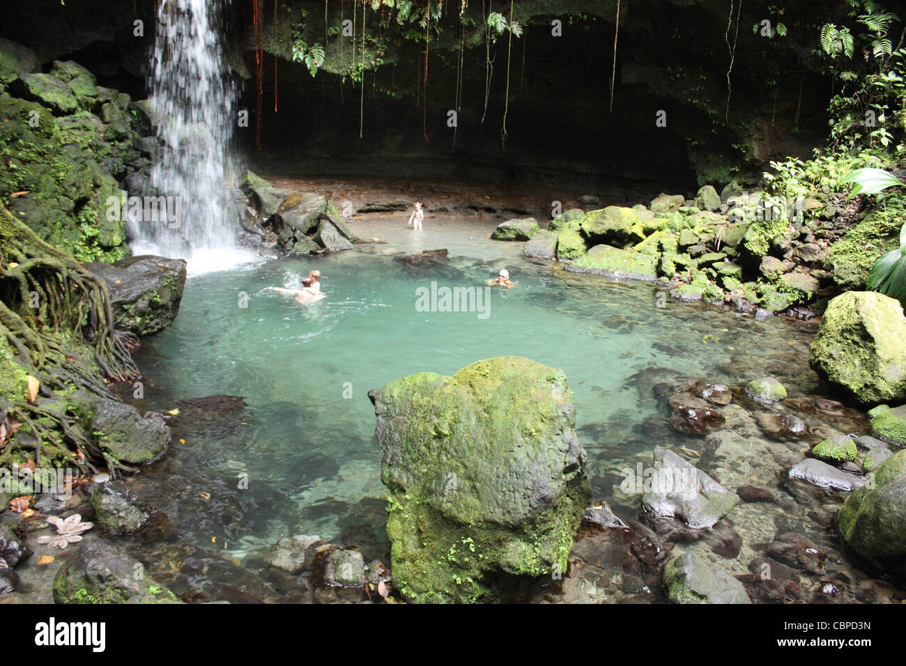 The Emerald Pool, Dominica, West Indies, Caribbean Stock Photo - Alamy