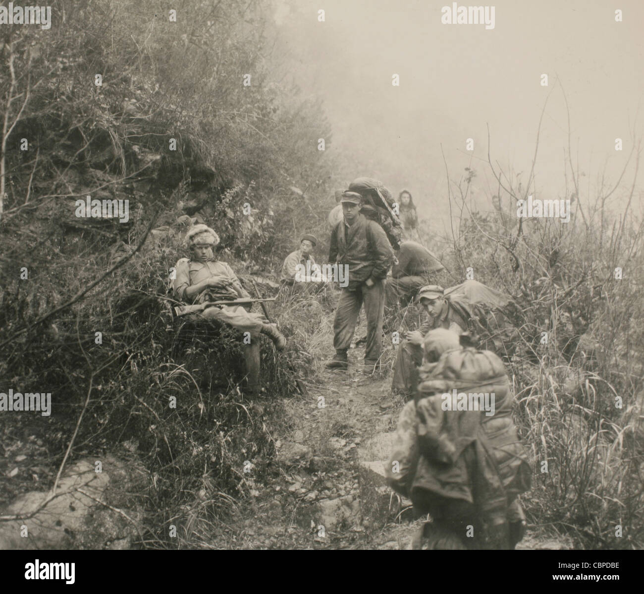 1st Marine Division Wallpaper