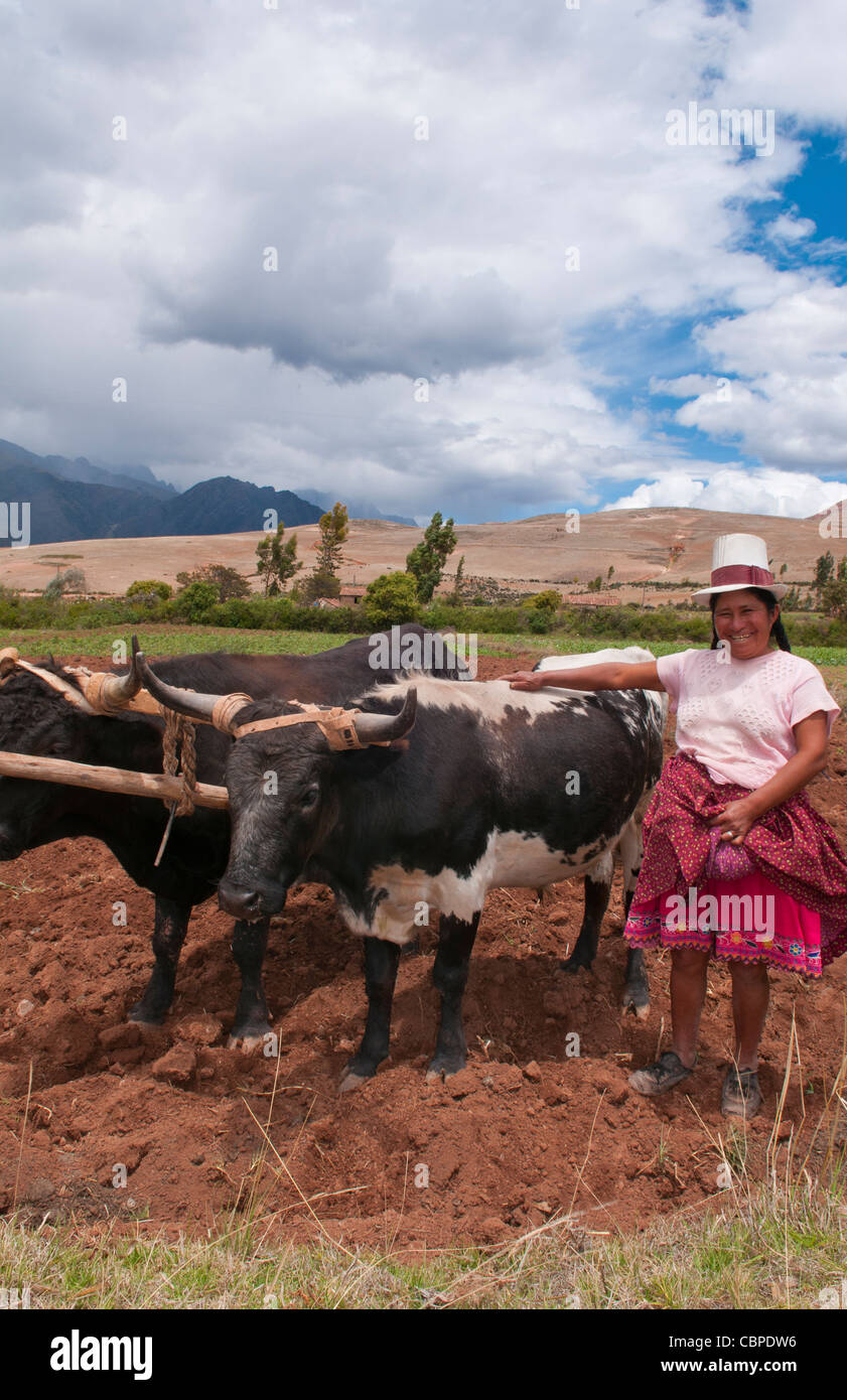 Wonderful farming woman on farm with oxen and traditional dress and ...