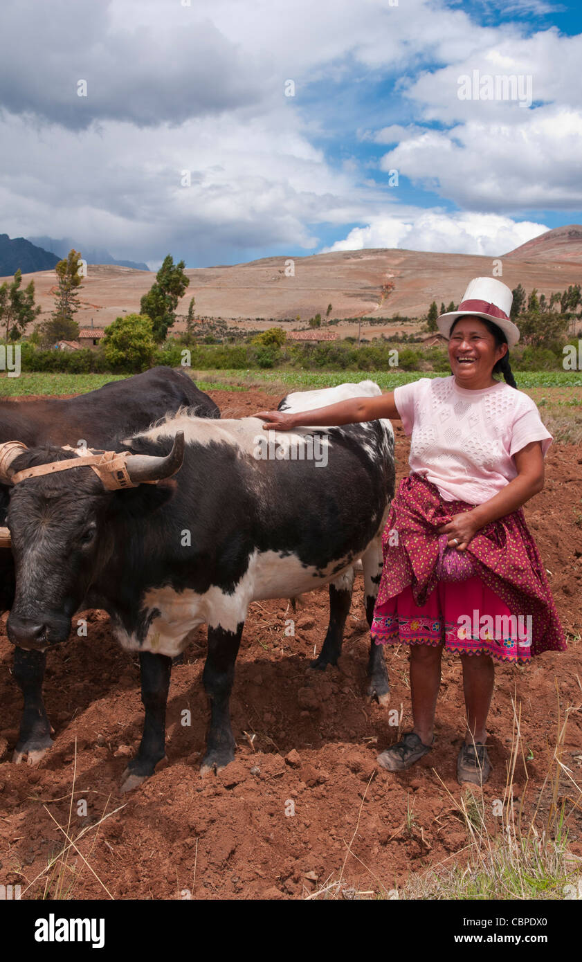 Wonderful farming woman on farm with oxen and traditional dress and ...