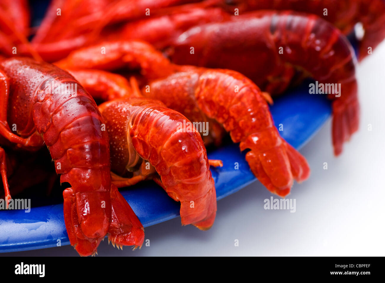 Creole festival hi-res stock photography and images - Alamy