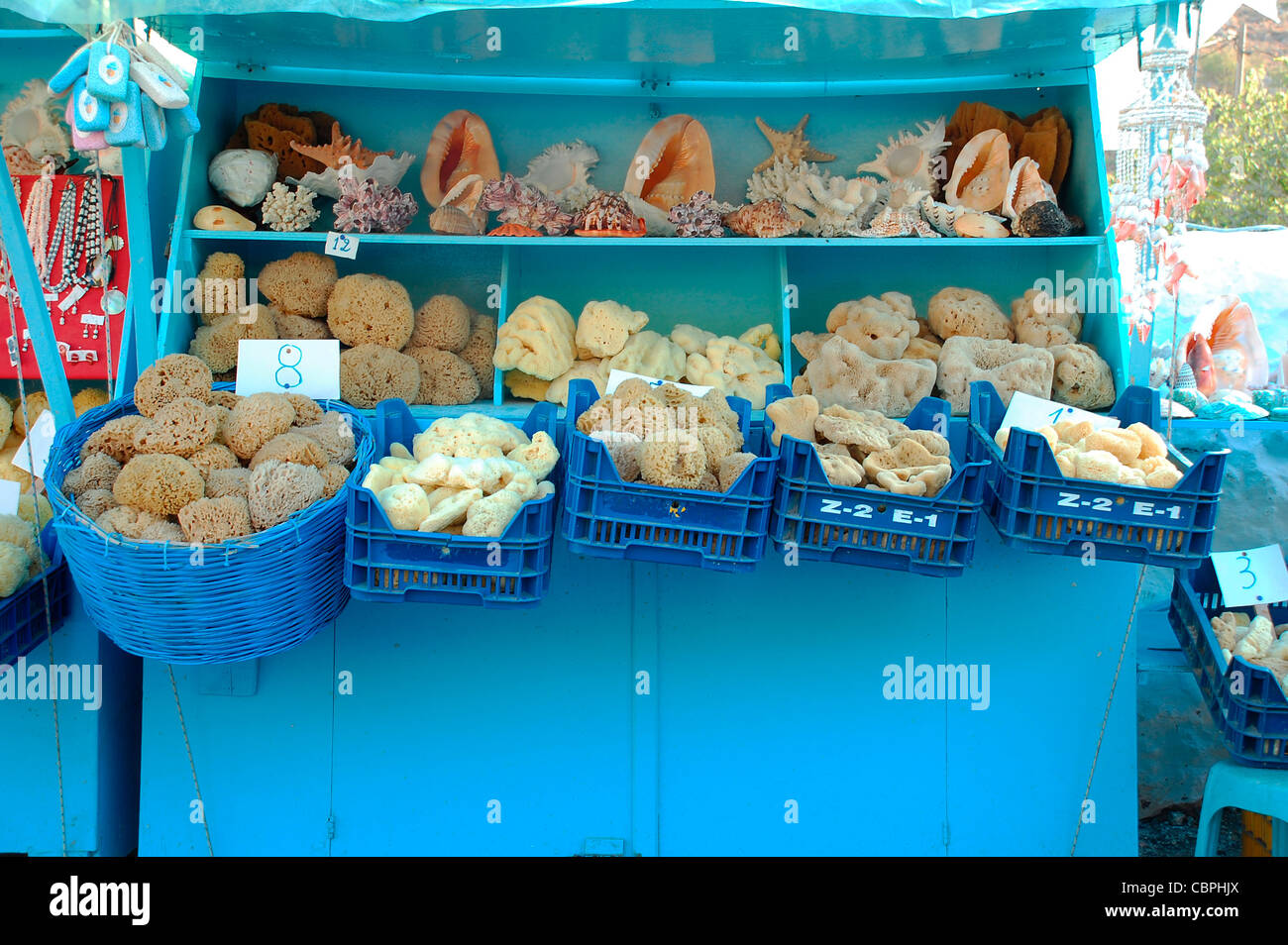 Seashell store hi-res stock photography and images - Alamy