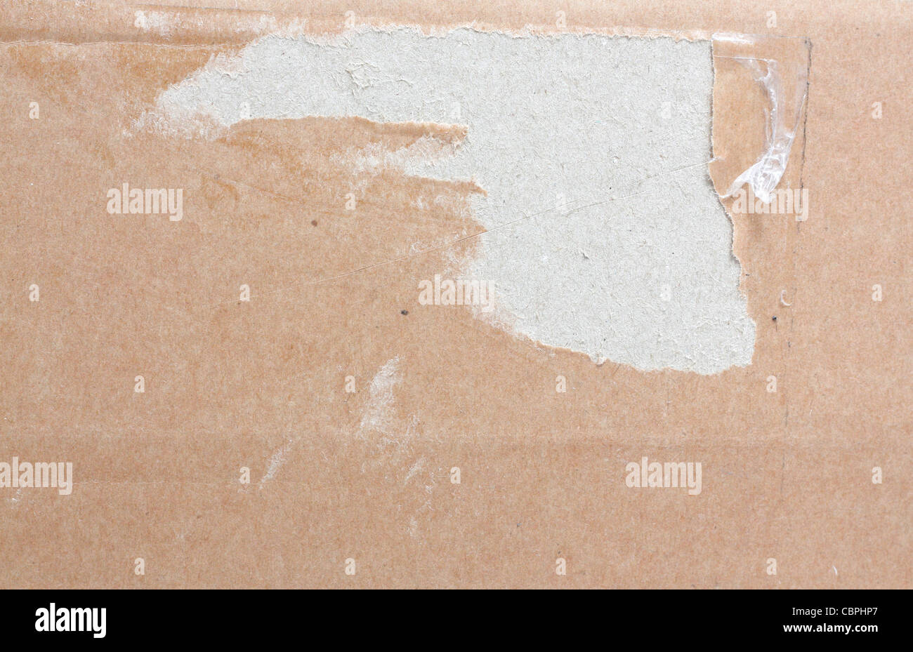 Shredded cardboard hi-res stock photography and images - Alamy