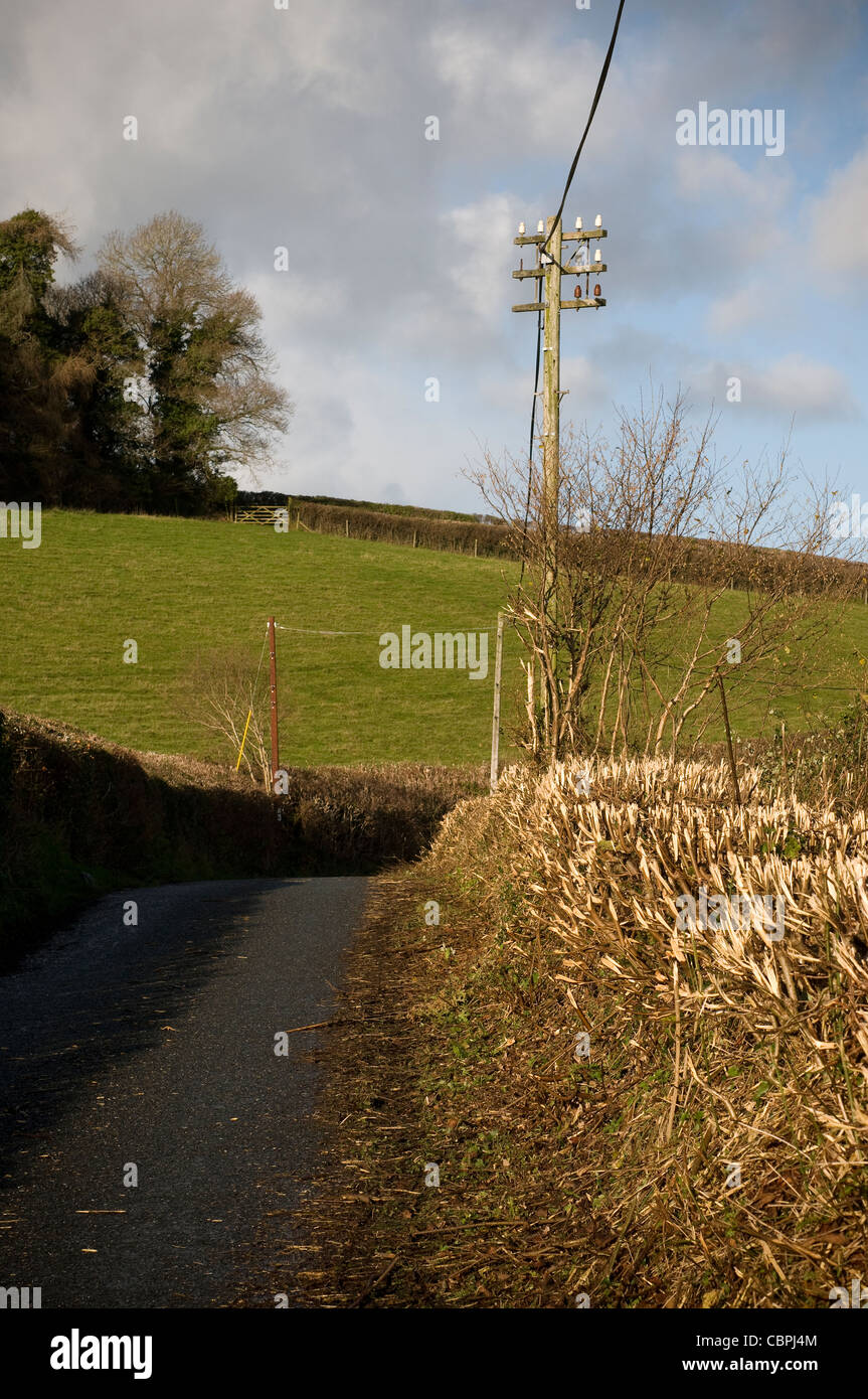 Teign valley hedgerows and lane hi-res stock photography and images - Alamy
