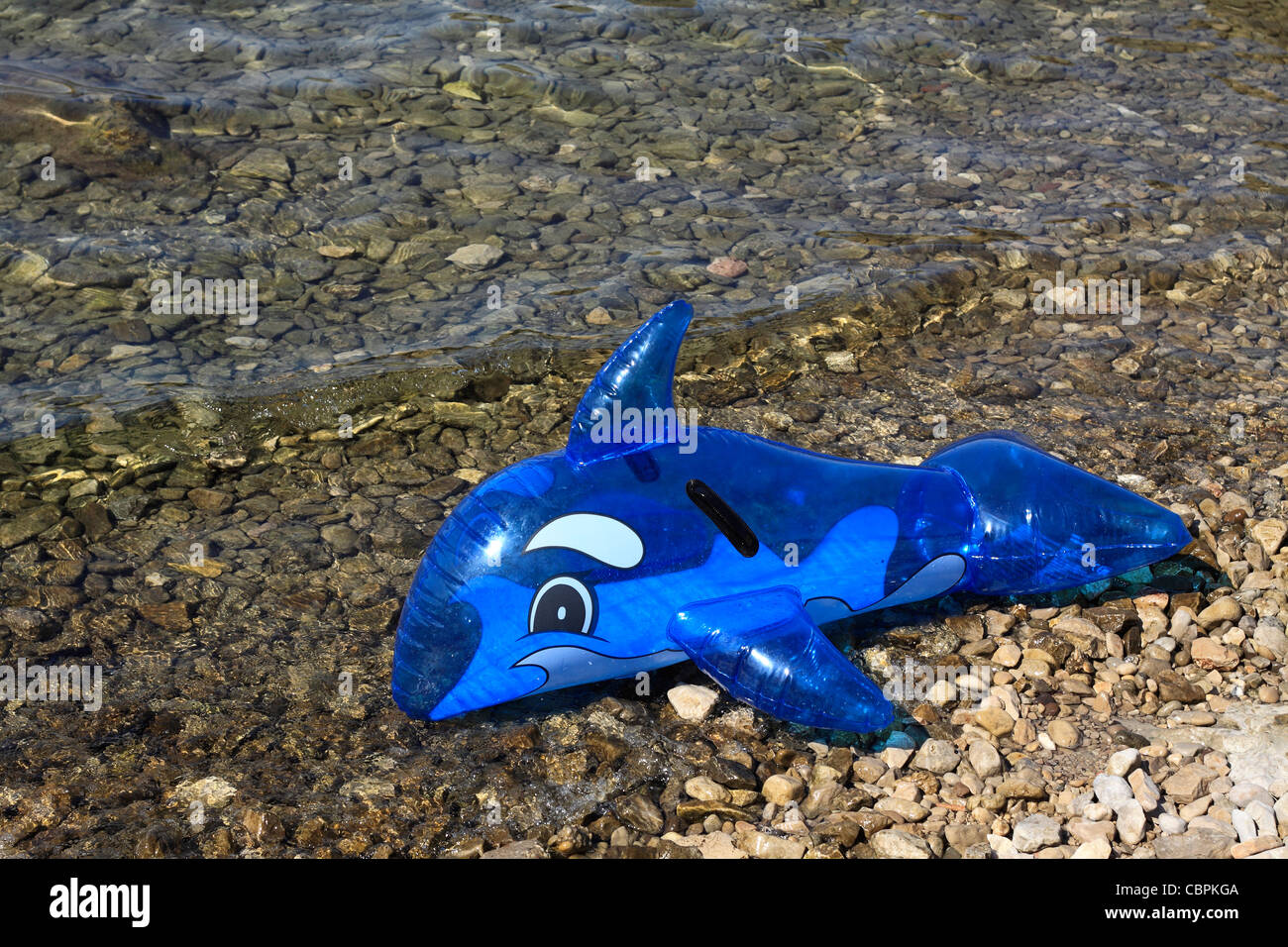 Inflatable dolphin toy Stock Photo - Alamy
