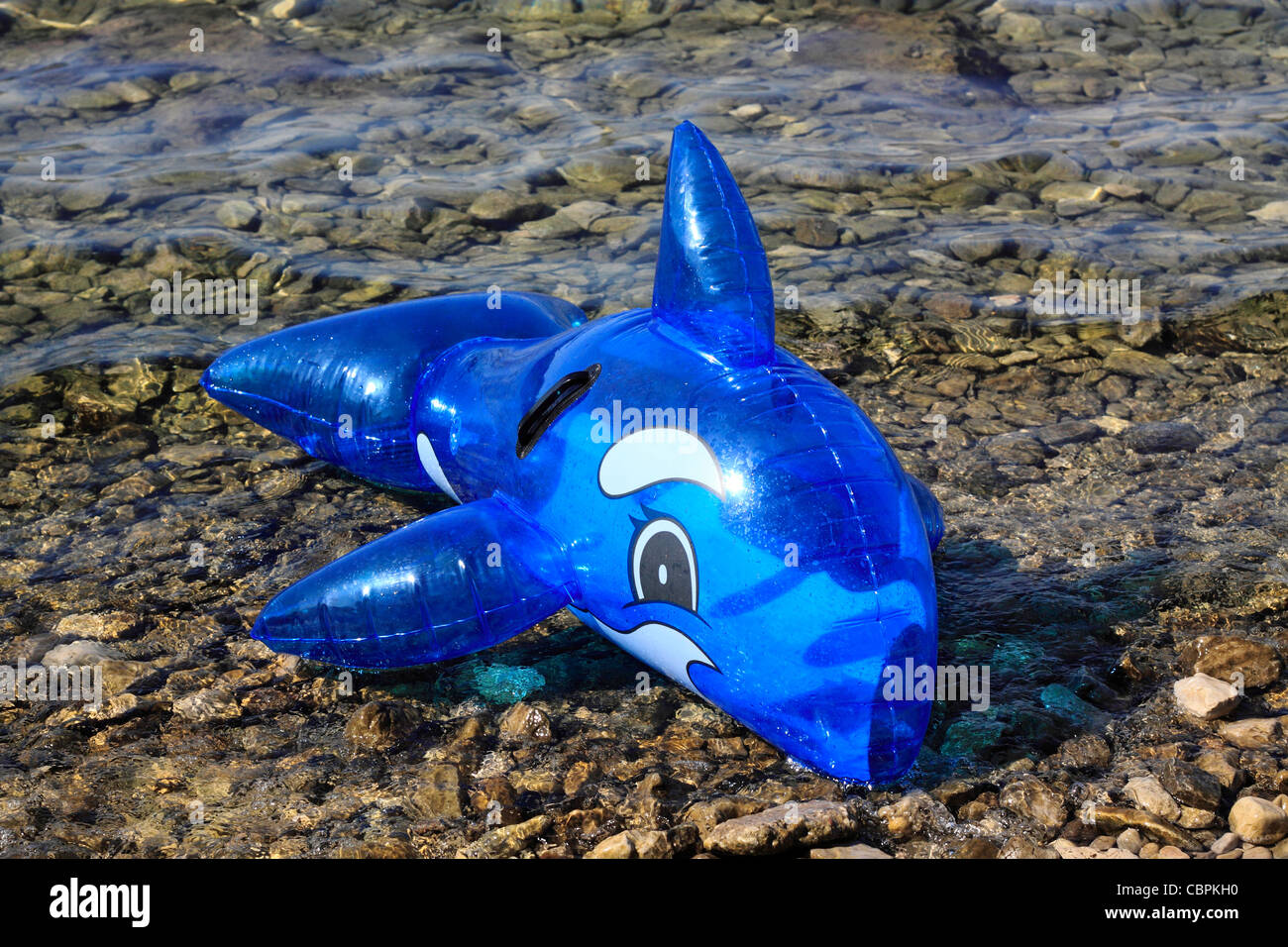 Inflatable dolphin toy Stock Photo - Alamy