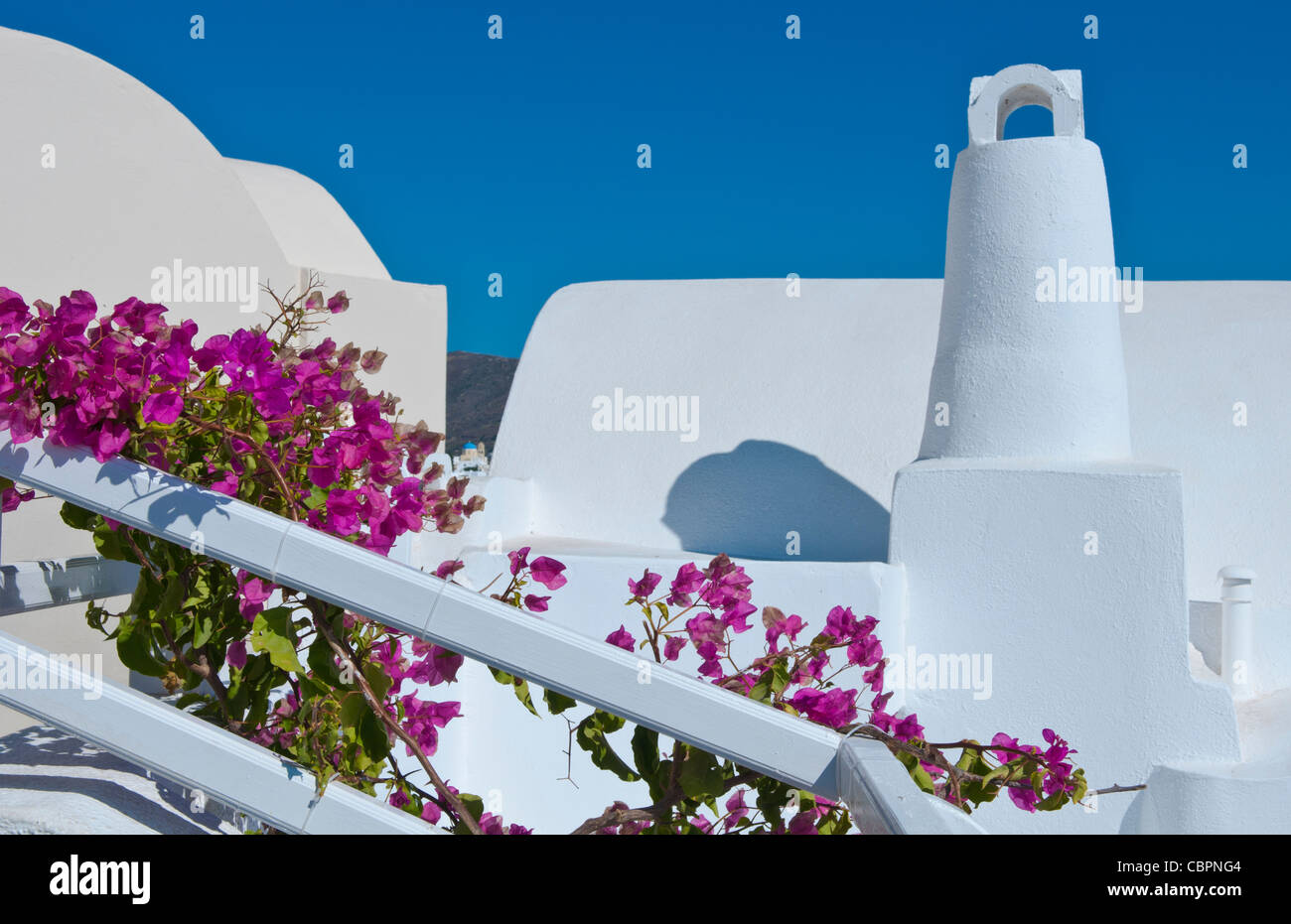 White buildings and pink flowers in beautiful Oia in Greek Island of ...