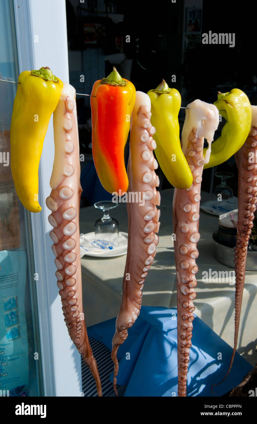 Hanging squid hi-res stock photography and images - Alamy