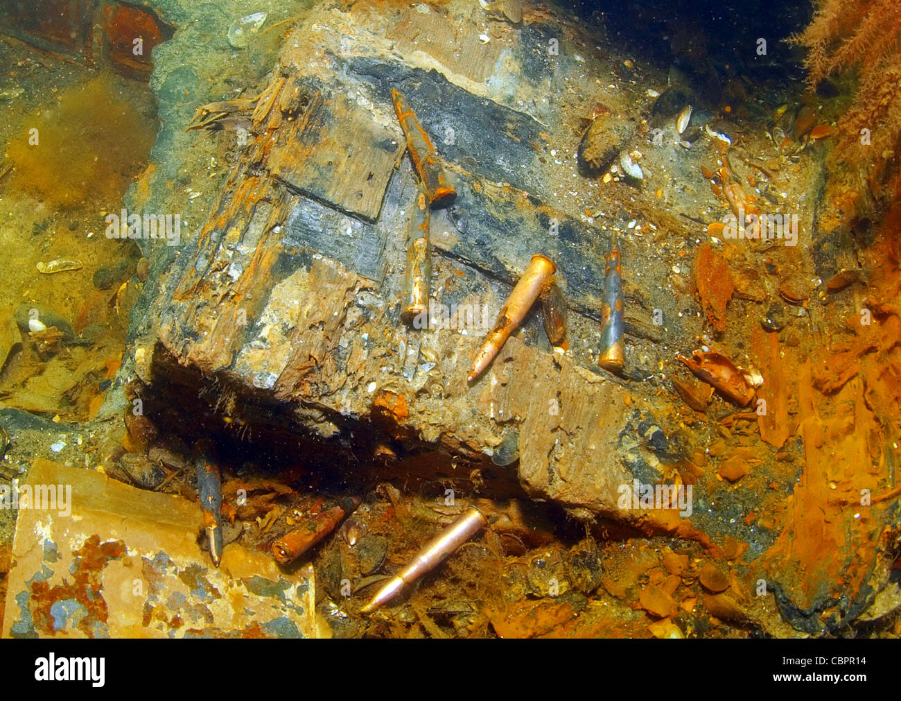 Ammunition, cartridges, bullets, Underwater wreck - mine trawler ...