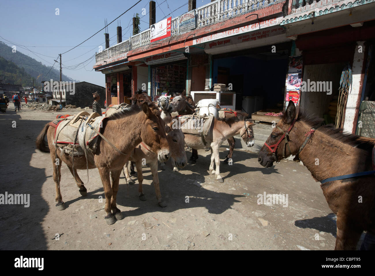 Donkey carrying goods hi-res stock photography and images - Alamy