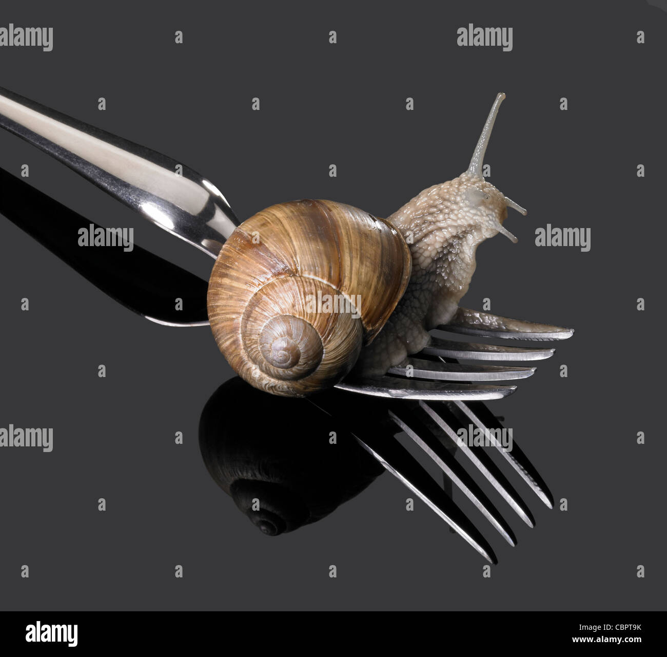 Slow creeping hi-res stock photography and images - Alamy