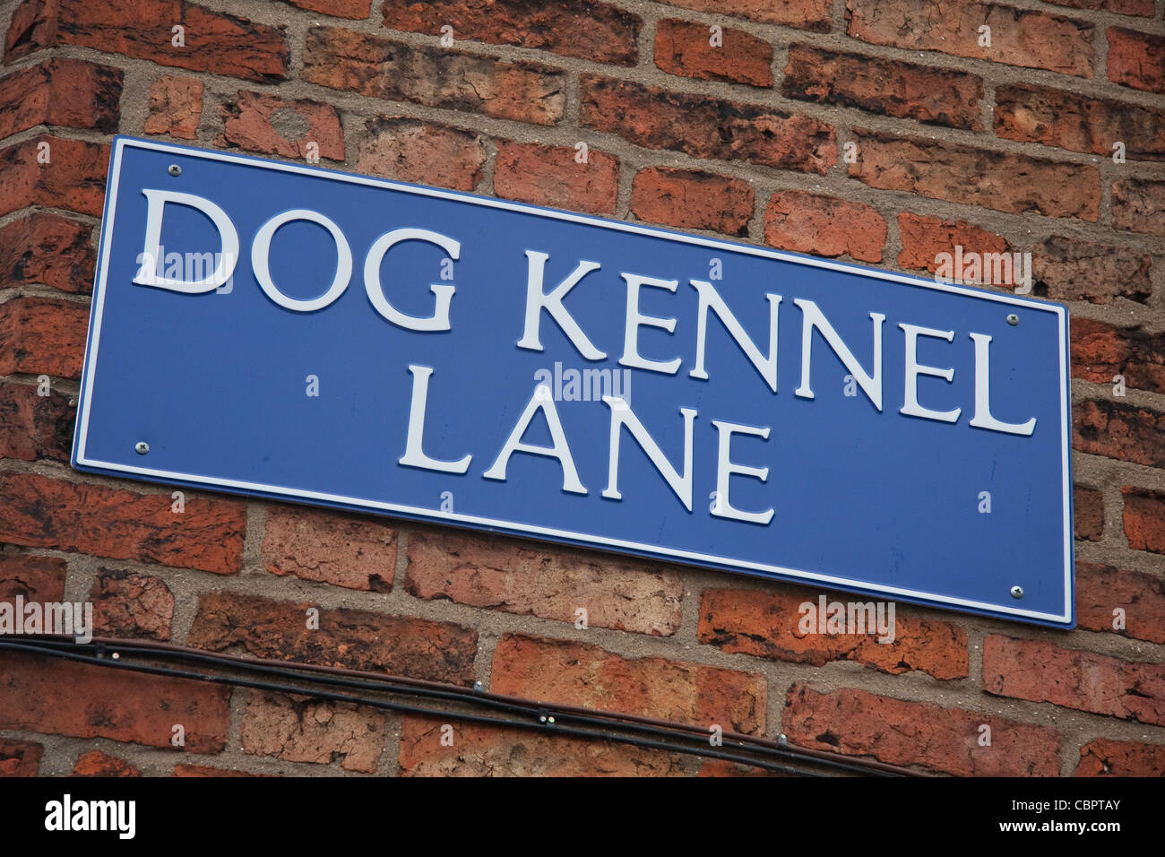 Dog kennel lane hi-res stock photography and images - Alamy