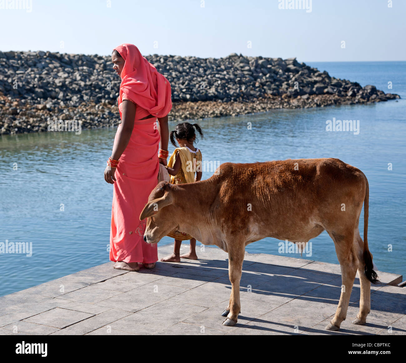 Mother cow india hi-res stock photography and images - Alamy