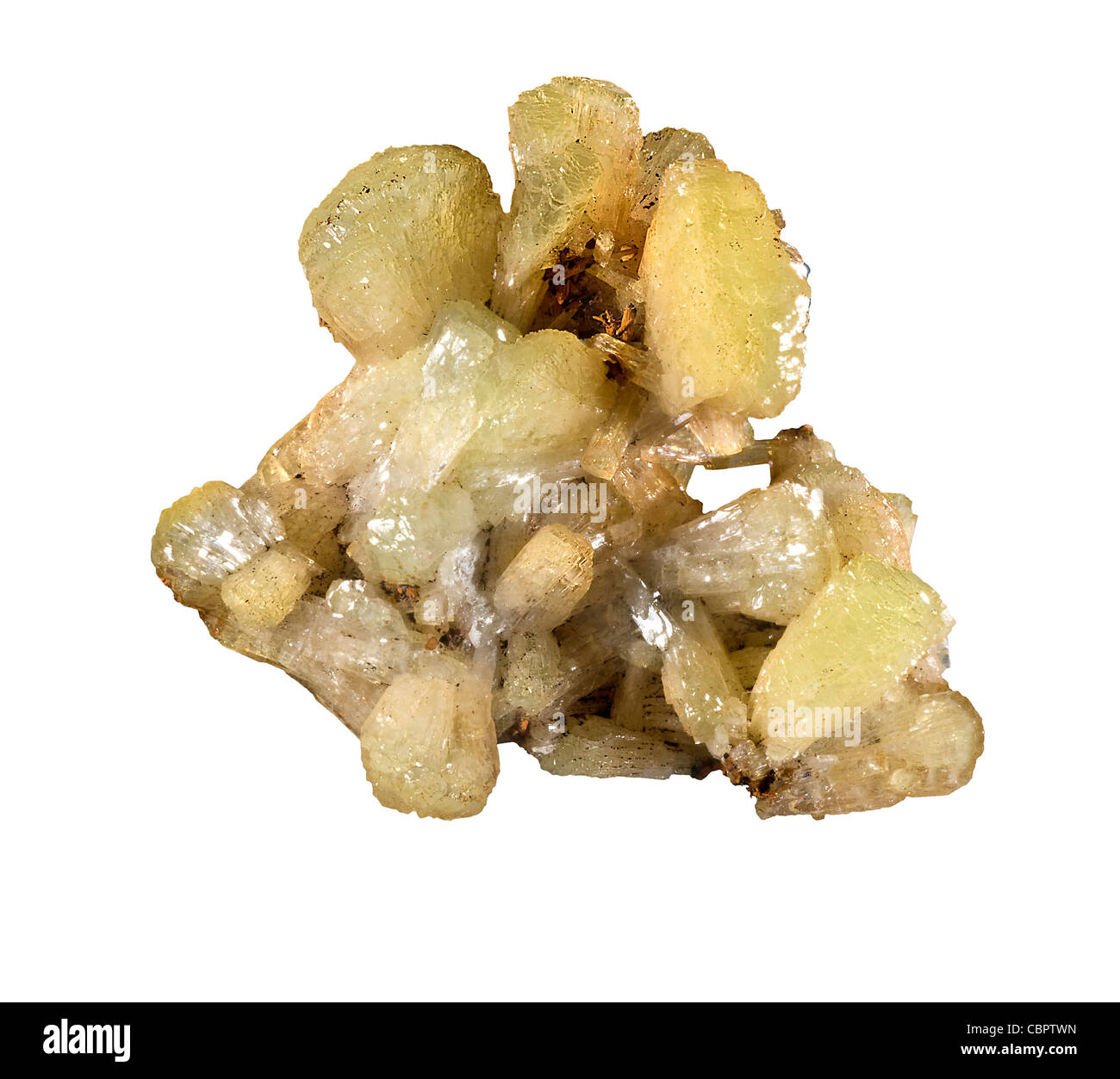 Adamite, Ojuela Mine, Mapimi, Durango, Mexico Stock Photo - Alamy