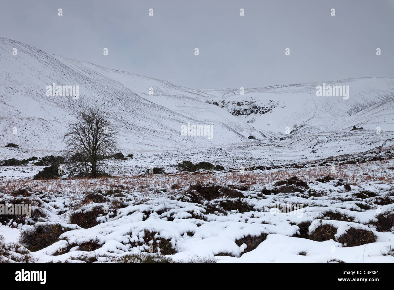 The View From the Green Trod Track at Birk Rigg Towards White Force ...