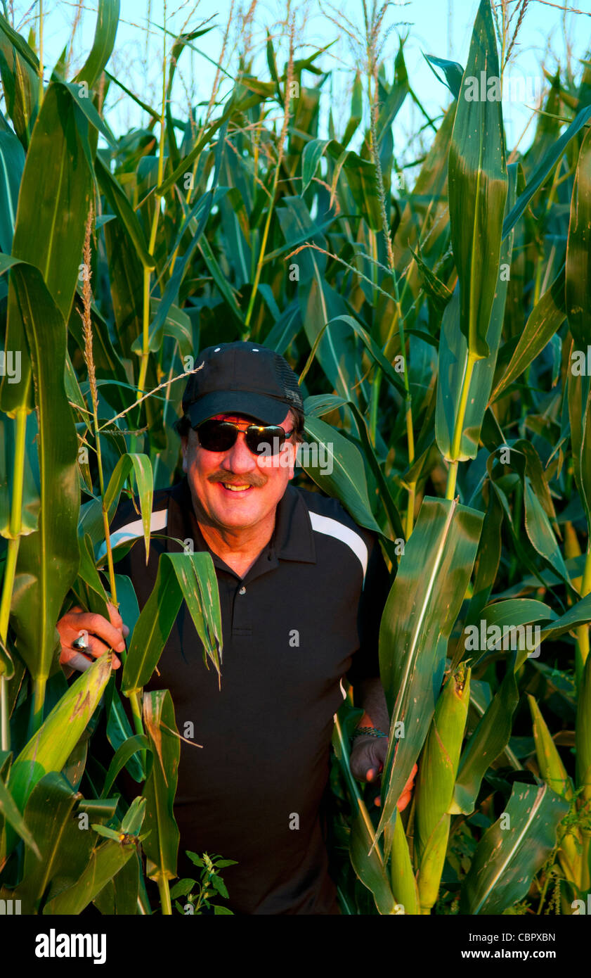 Iowa corn fields hi-res stock photography and images - Alamy