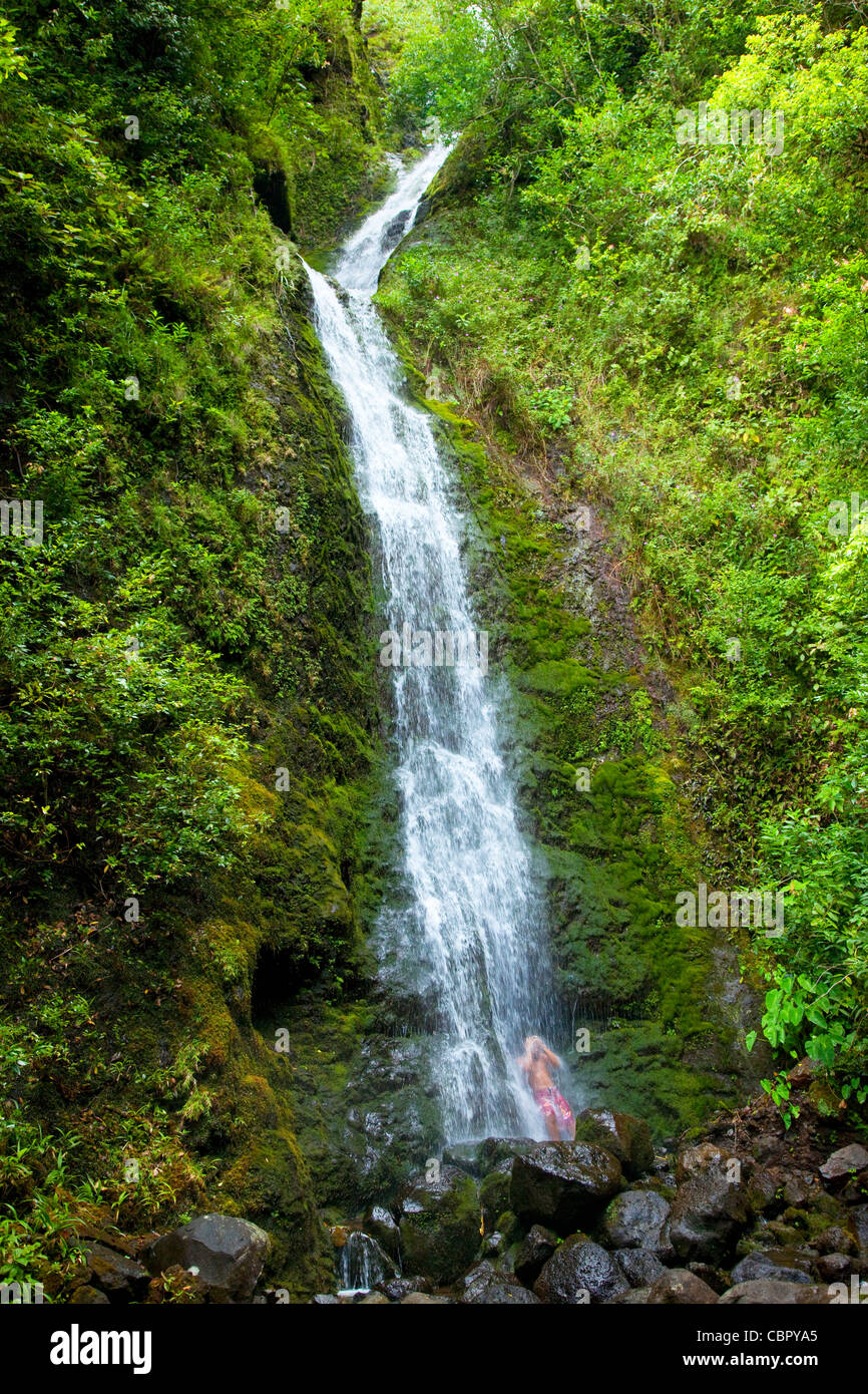 Lulumahu Falls, Lulumahu Valley, Nuuanau, Oahu, Hawaii Stock Photo - Alamy