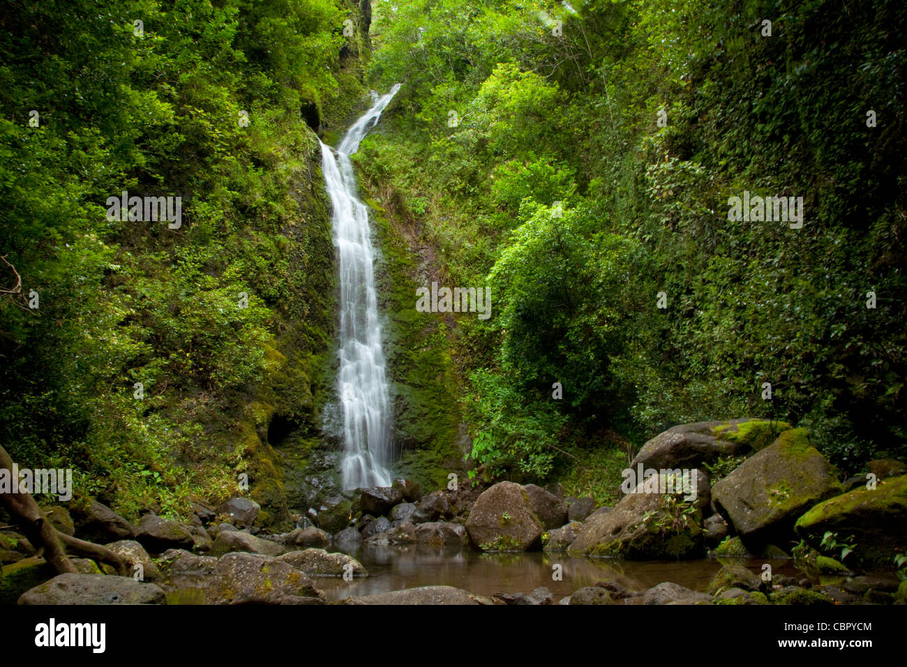 Lulumahu Falls, Lulumahu Valley, Nuuanau, Oahu, Hawaii Stock Photo - Alamy