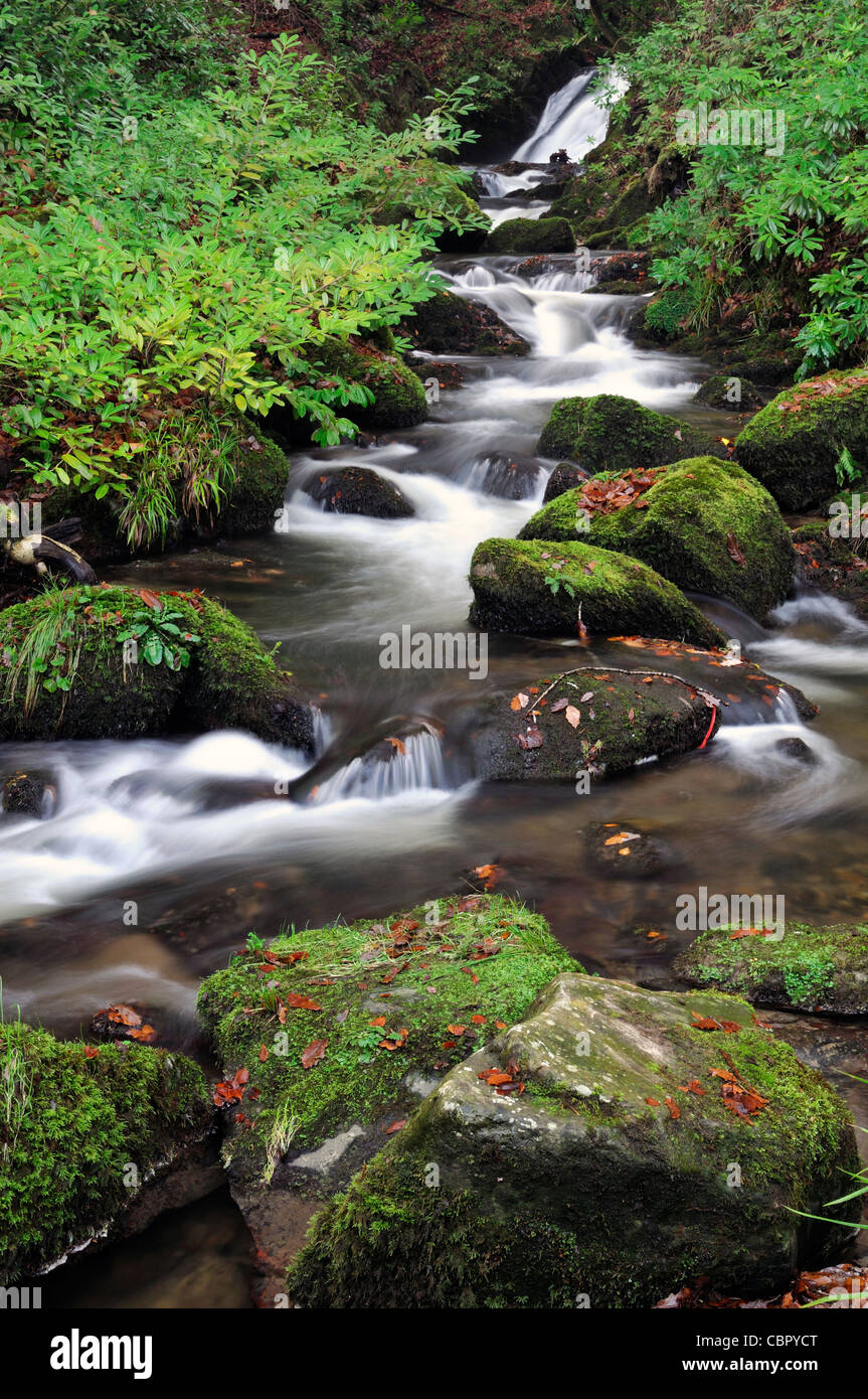 waterfall river stream falls flow autumn woodstock kilkenny ireland ...